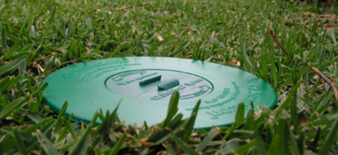Important Strategies to Follow In Exterra Termite Baiting System For ...